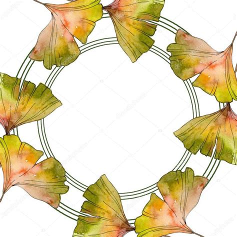 Green Yellow Ginkgo Biloba Leaf Leaf Plant Botanical Garden Floral