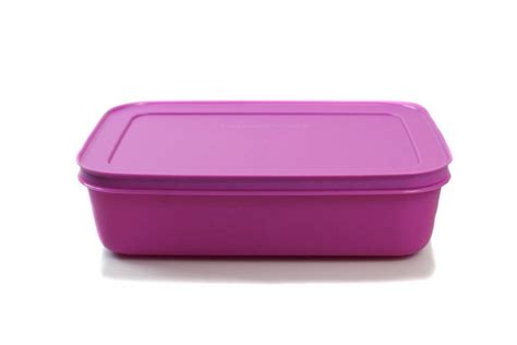 Tupperware Vorratsdose Gefrier Behälter 10 L Lila Flach