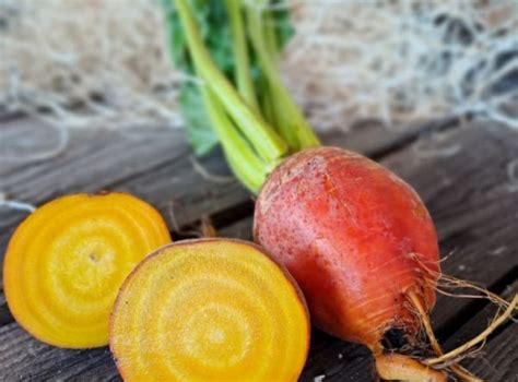 Betterave Jaune Bio 500 G