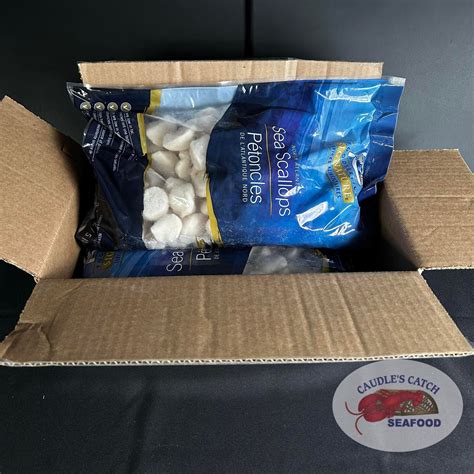 Canadian Sea Scallops 30 40ct Frozen Caudles Catch Seafood