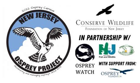 Osprey Live Web Cam Streaming From Barnegat Light Long Beach Island