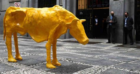 Ibovespa Por Que índice Caiu E Renovou Mínimas Do Ano Apesar De Ipca