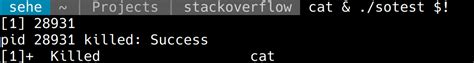 C Kill Process By Pid With Boost Process Stack Overflow