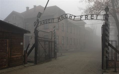 Pietro Marinelli professore negazionista della Shoah chi è e cosa rischia Sky TG