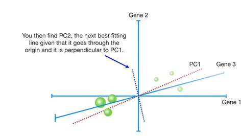 Detail  Analysis Koleksi Nomer 47
