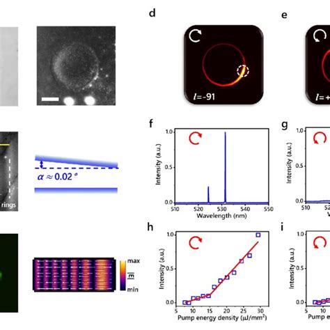 Generation Of Vortex Modes With Opposite Chirality A Bright Field