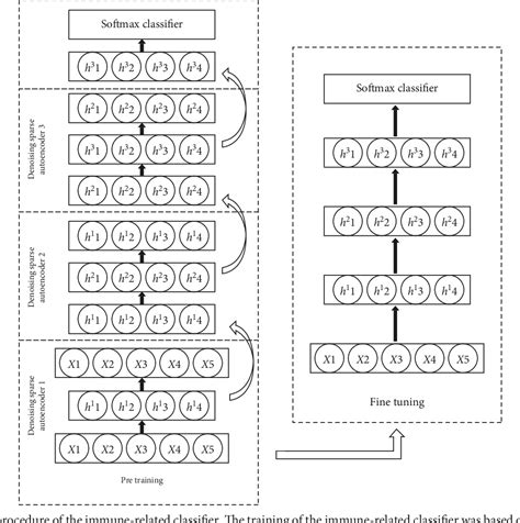 Figure 1 From Classification Of Thyroid Nodules With Stacked Denoising Sparse Autoencoder