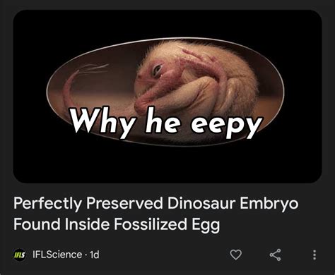Why He Eepy Hoyolab