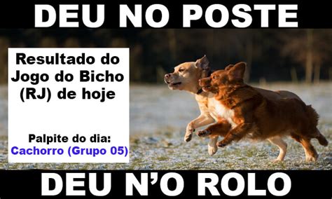 Deu No Poste Resultado Jogo Do Bicho Hoje 12112020 O Rolo Notícias
