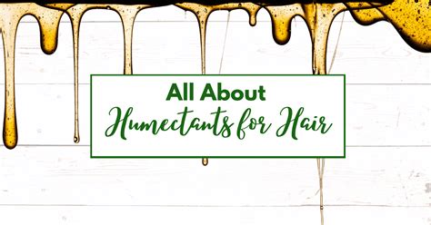 Natural Humectants For Hair Guide For Curly Hair
