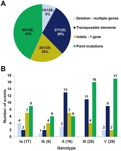 Capsule Group B Strep