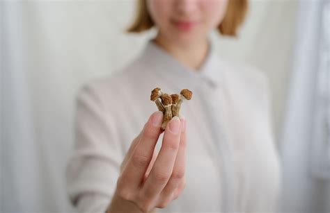 Can You Smoke Shrooms Reality Sandwich
