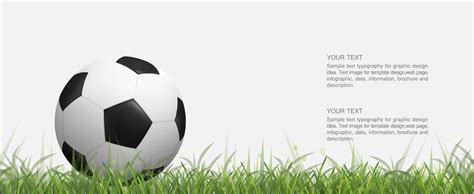Soccer Grass Vector Art Icons And Graphics For Free Download
