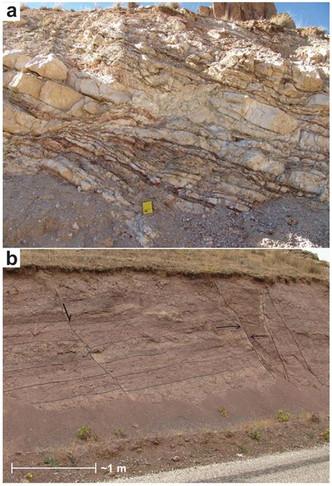 58 Field Photographs Showing A Syn Sedimentary Deformation Or
