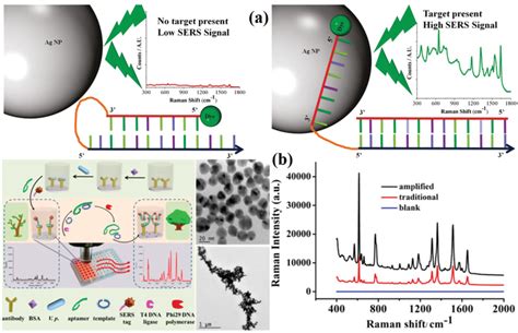 A Schematic Of Lspr Effect Of Noble Metal Nanoparticles For Sers