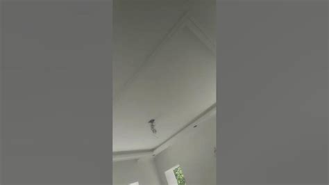 Shortvideos Youtube