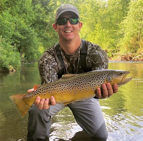 Tips For Fall Walleye Fishing Sporting Classics Daily