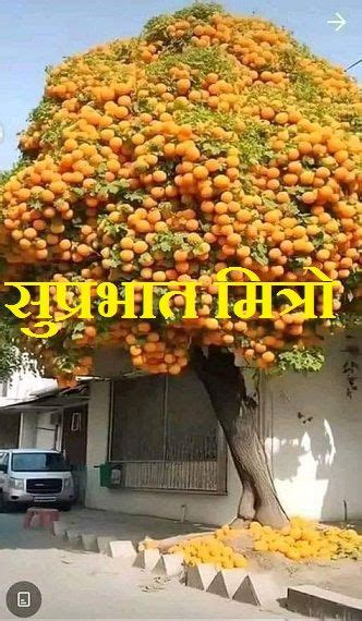 Satya Prakash Dubey On Linkedin सुप्रभात मित्रो