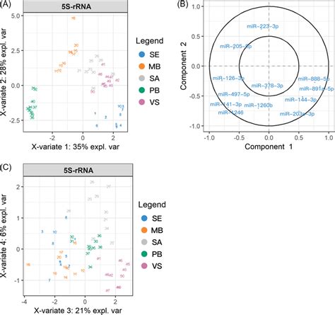Score Plot A And Correlation Loading Plot B For The First Two Pls