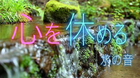 【水の音 癒し】水路の湧き水の優しい水の音で疲労回復 せせらぎ音でリラックス癒しbgm【4k】 Youtube