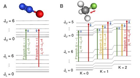 Fig S1 A Diagram Of The Rotational Energy Levels In The Ground Download Scientific Diagram
