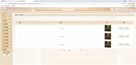 基于springboot vue的汽车租赁管理系统，附源码 数据库 论文 ppt，适合课程设计、毕业设计 车辆租赁管理系统数据库 csdn博客