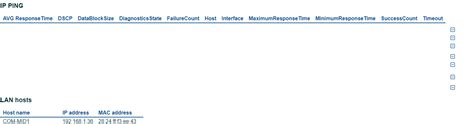 I Want To Use These Parameters To Ping Any Ip Address On The Router And