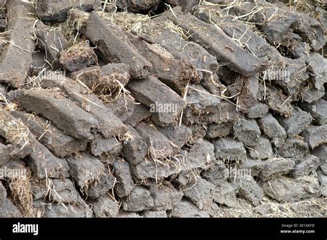 Cut Peat From A Peat Bog Ready To Burn In The Fireplace Slices Of Peat