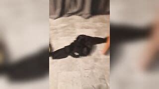 Mia Moglie Zoccola Con Il Bull Amaporn