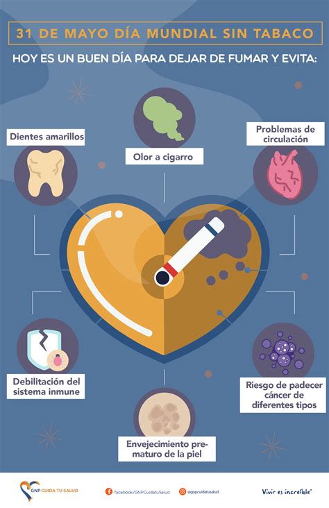 Hábitos Saludables Para La Salud Mental Gnp Cuida Tu Salud