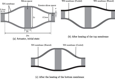 Figure From Finite Element Analysis Of A Shape Memory Alloy Actuator For A Micropump