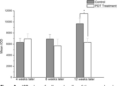 Figure 3 From Evaluation Of Collagen Alteration After Topical Photodynamic Therapy Pdt Using