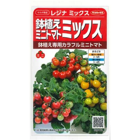 トマト ミニトマト レジナミックス 約75粒 株サカタのタネ 実咲350（107809） 2412162 グリーンロフトネモト