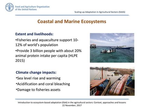 Introduction To Ecosystem Based Adaptation Eba In The Agricultural