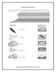 Classification Adaptation Evolution And The Fossil Record Gr Worksheets Library