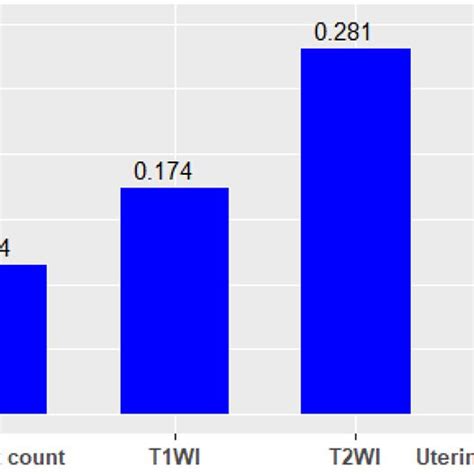 Contrast Enhanced Mr Images Before And After Hifu Treatment A The Download Scientific