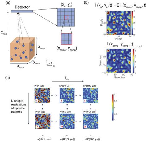a schematic representation of the dynamic speckle model dsm the download scientific