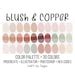 BLUSH COPPER Procreate Palette Color Chart Neutral Procreate IPad Procreate Digital Download