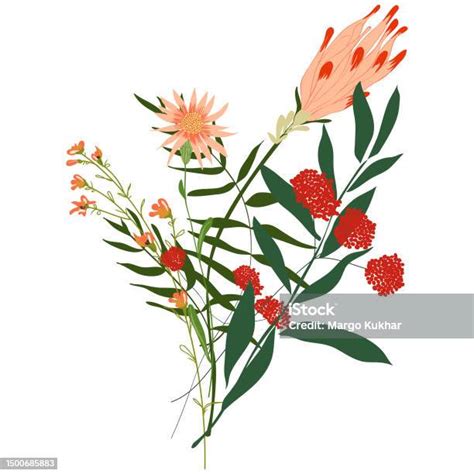 나뭇 가지에 필드 꽃입니다 야생화 아이콘입니다 투명한 배경에 격리된 손으로 그린 초원 식물 개화기에 대한 스톡 벡터 아트 및 기타 이미지 Istock