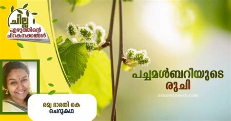 Malayalam Short Story പച്ചമള്‍ബറിയുടെ രുചി രമ്യ ഭാരതി കെ എഴുതിയ