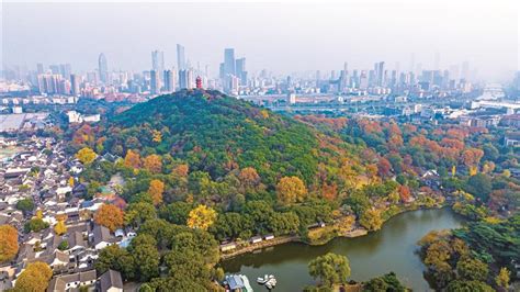冬赏秋景正当时