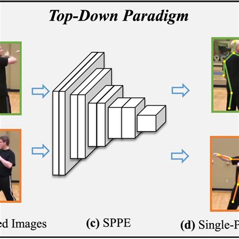 a classical pipeline of top down framework for human pose estimation