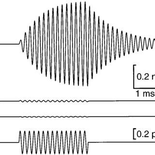 Modeled Responses Of A Hair Bundle To Stimulation With A 5 Khz