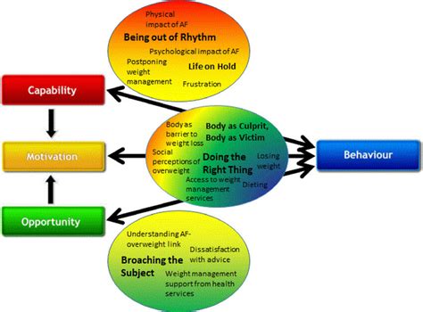 Map Of Themes With Relation To Capability Opportunity And
