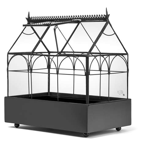 Best Large Succulent Terrarium Options For Indoor Gardens