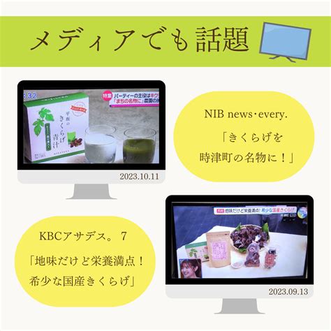 平坂のきくらげ青汁｜【平坂製薬株式会社】鎮痛解熱薬のヘデクパウダー