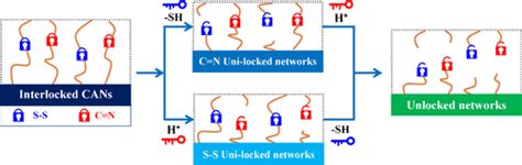 Interlocked Covalent Adaptable Networks And Composites Relying On
