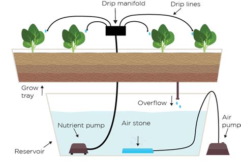 Drip By Drip Hydroponic Drip System Mindcull