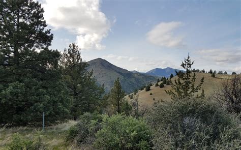 Cescl Stormwater Certification — Greenwood Environmental