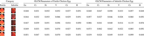 Example Of Glcm Parameters Calculations For 5 Fertile And 5 Infertile